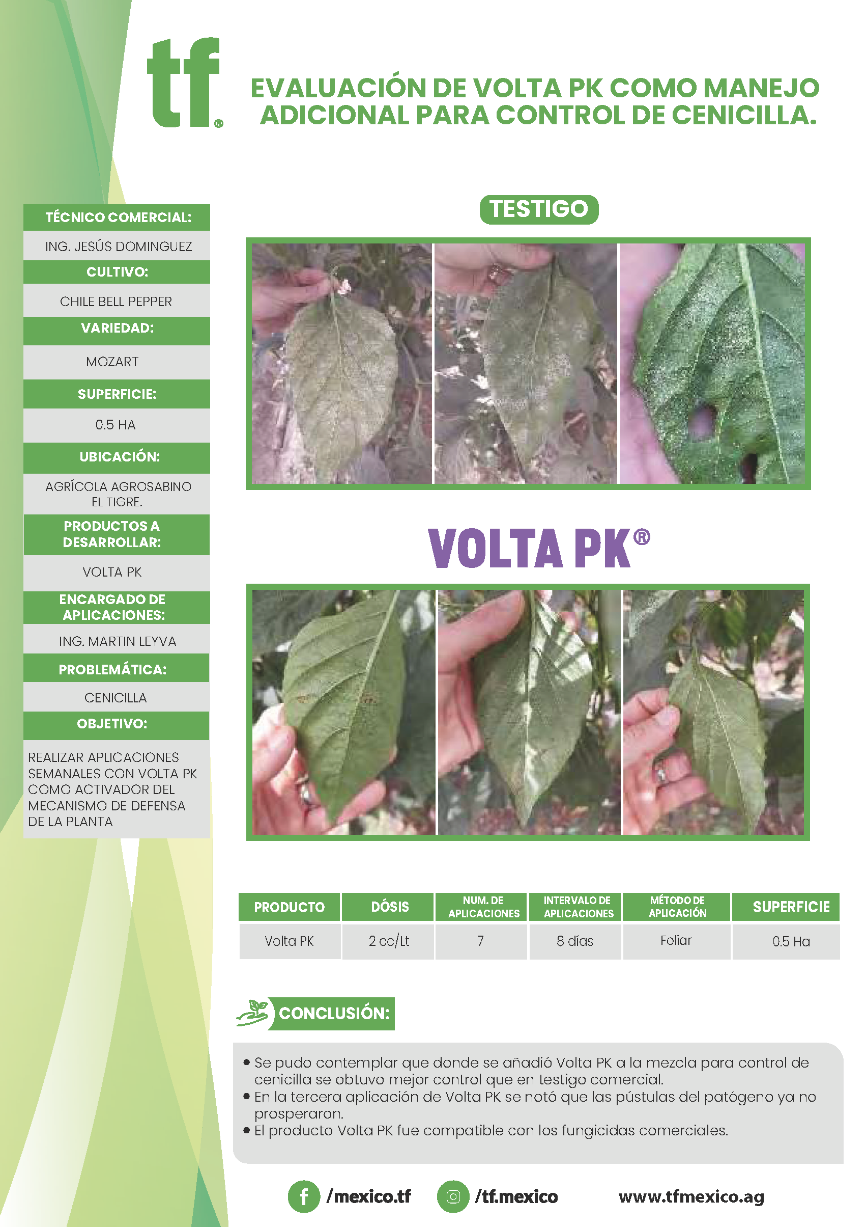 Evaluación de Volta PK como manejo adicional para control de cenicilla | TF