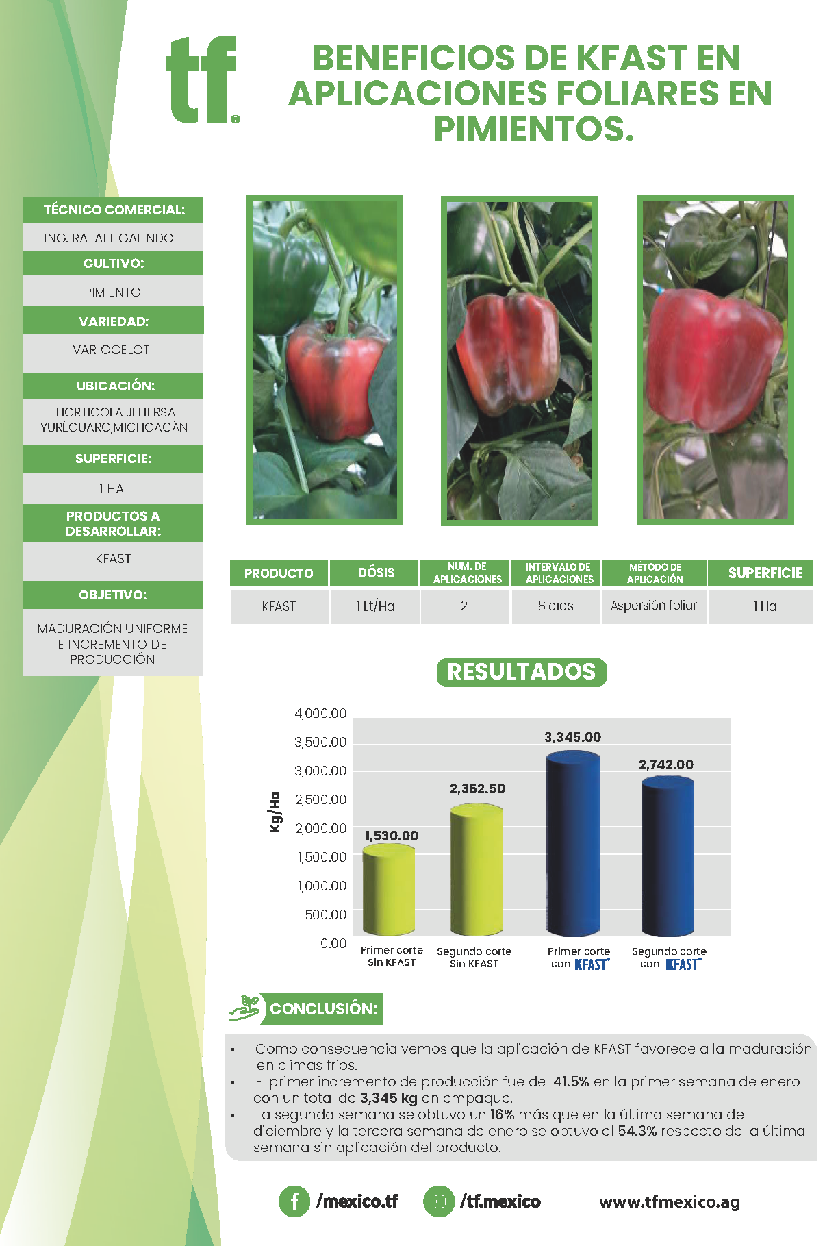 Beneficios del K Fast en aplicaciones foliares en pimientos | TF