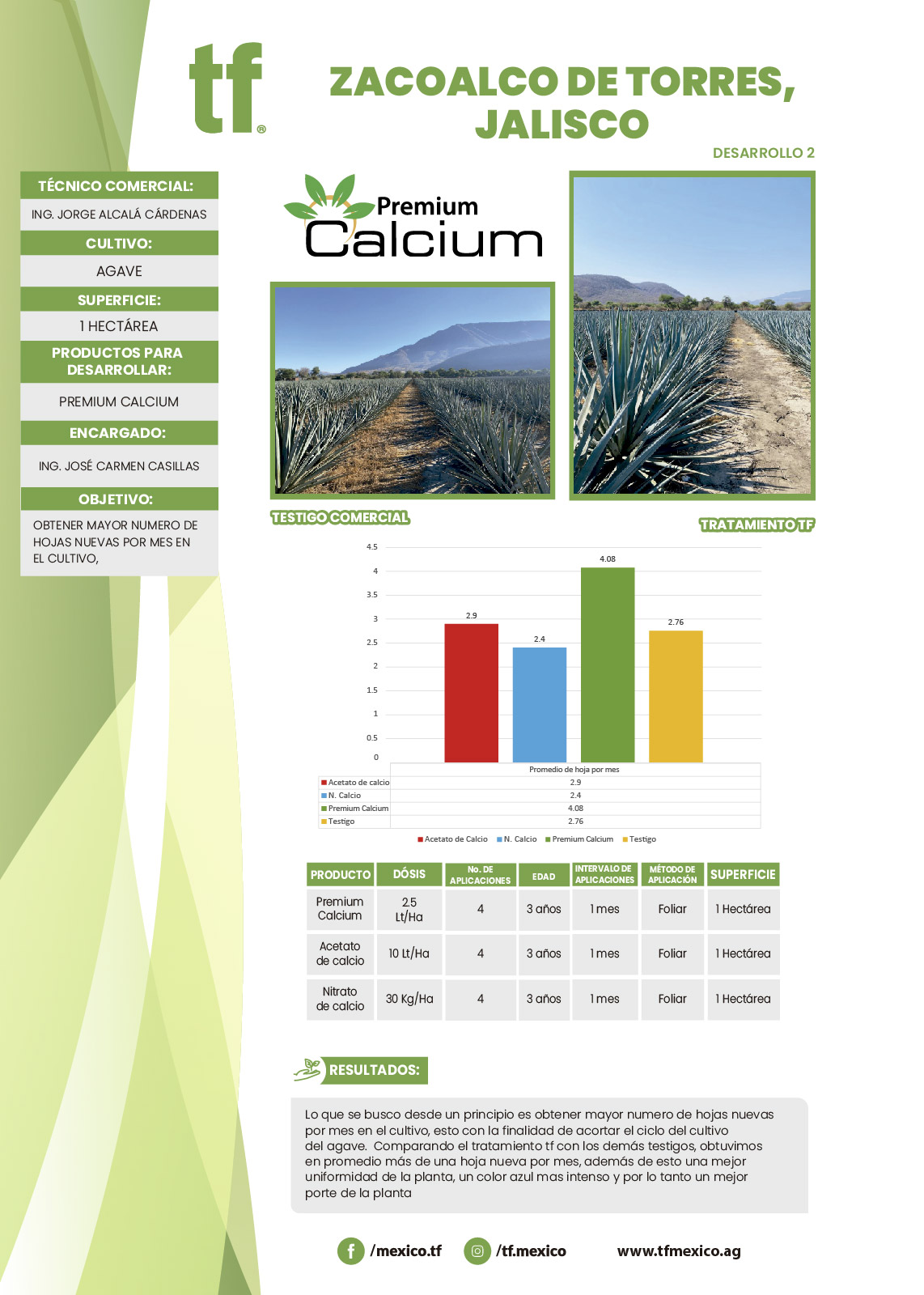 Ensayo para la obtención de un mayor número de hojas en agave | TF