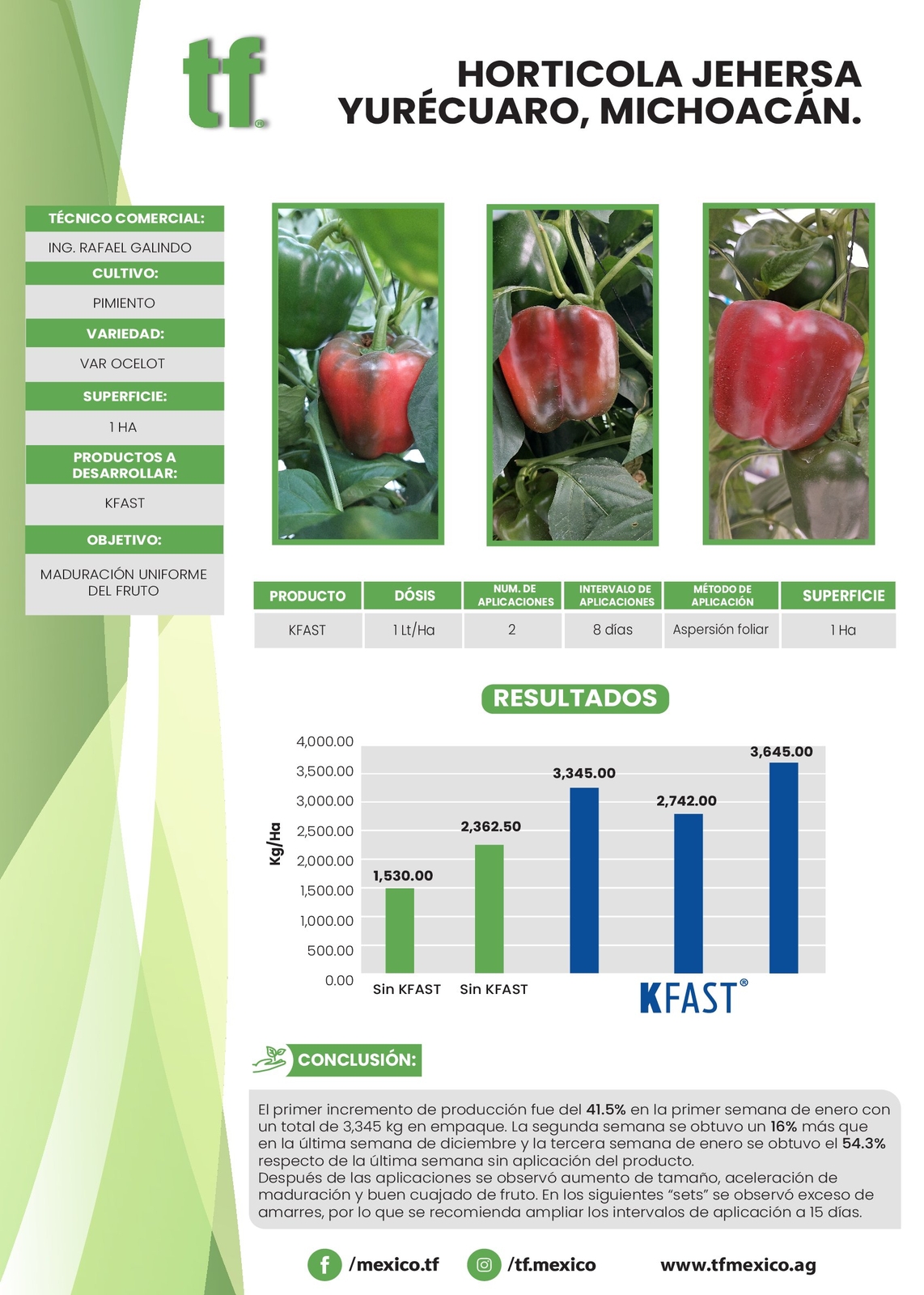 Desarrollo Para Una Maduración Uniforme En El Fruto Tf