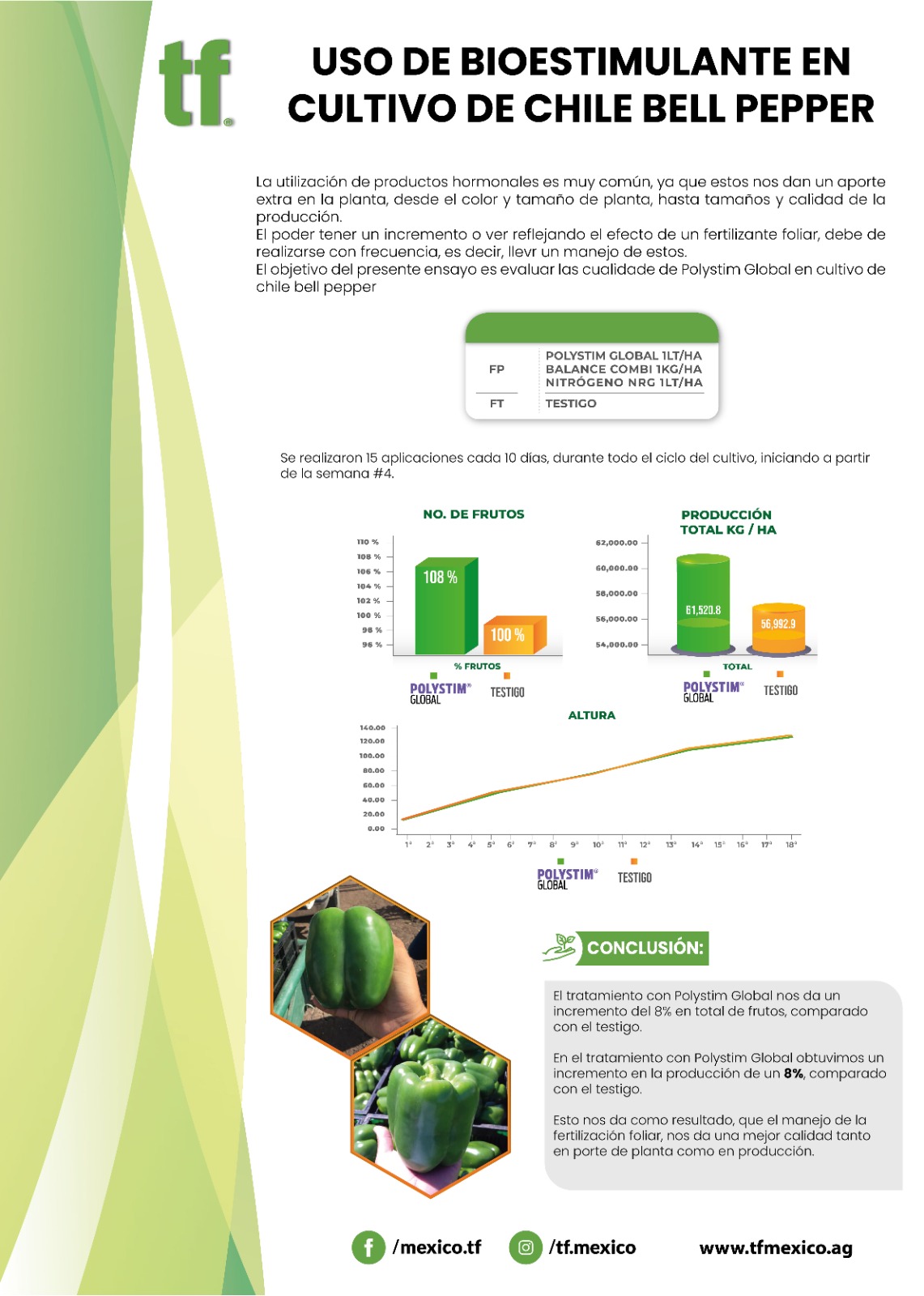 Desarrollo de uso de bioestimulantes chile bell peper | TF